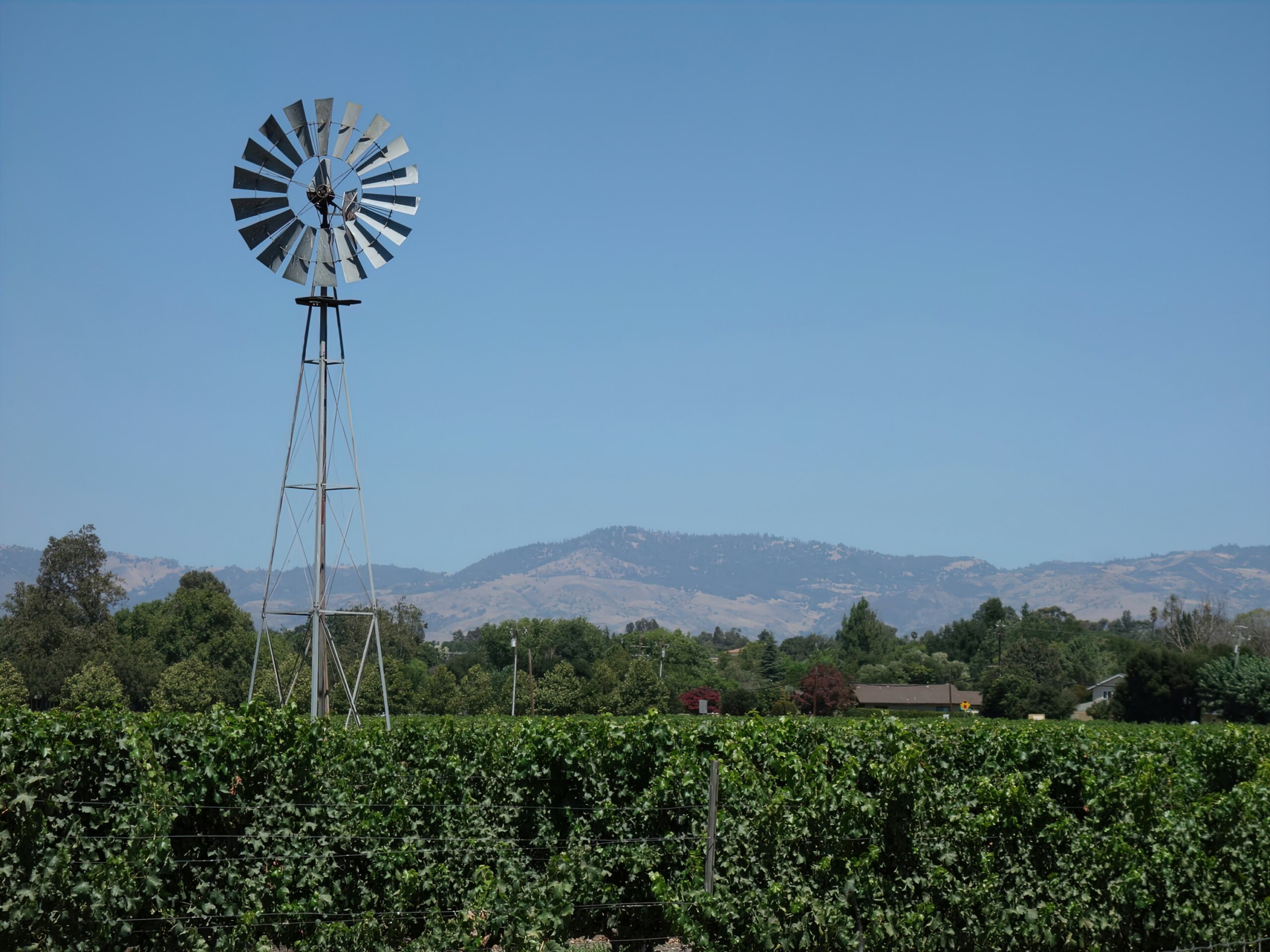 Saving California’s Rural Water Users
